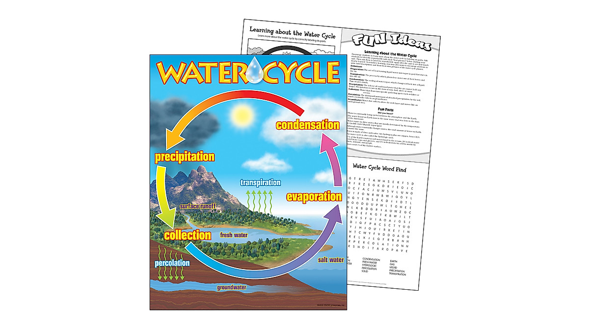 Water Cycle Learning Chart - Visual Guide for Science Education