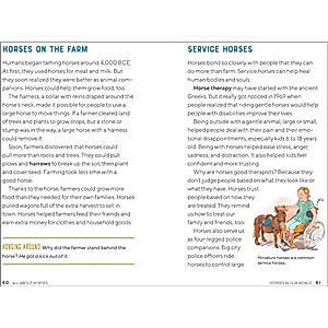 All About Horses: A Kid's Guide to Breeds, Care, Riding, and More!