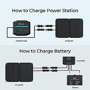 Renogy Portable Power Station Camping, 222Wh Backup Lithium Battery of Fast Recharging, w/Two 120V/200W Pure Sine Wave AC Outlets, Solar Generator for Outdoor Camping Travel, Compatible with PV Input