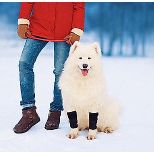 NeoAlly - Front Leg Brace for Dogs and Cats, Dog Leg Brace for Improved Pet Mobility, Dog Leg Sleeve for Carpal Support, Dog Leg Sleeve with Reflective Straps, XXS to XS, Black, 1 Pair