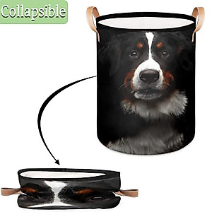 Bernese Mountain Dog Animals Collapsible Laundry Basket Large Laundry Hamper Waterproof Foldable Storage Bins Laundry Basket with Leather Handles Clothes Nursery Hampers for Bathroom Bedroom Toy Organizer
