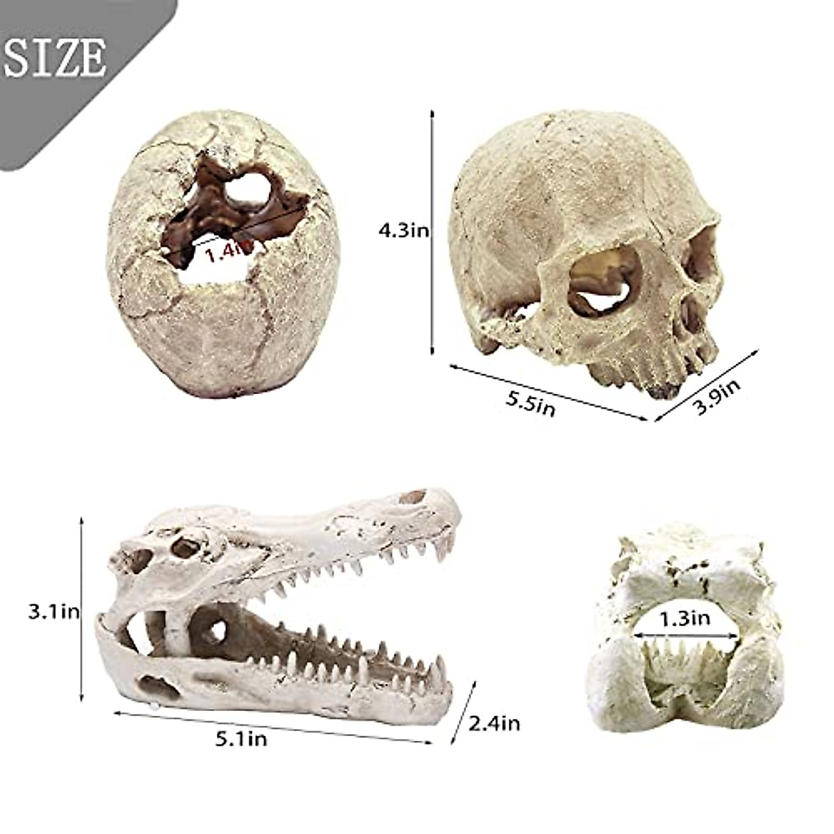 Tfwadmx Bearded Dragon Tank Accessories Reptiles Crocodile Skull Decorations Resin Human Skulls Hideouts Cave Habitat Decor for Chameleon,Snake,Spider,Gecko and Fish