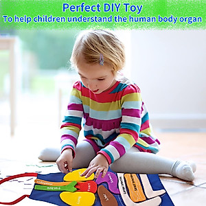 BOCZIF 3D Organ Apron, Human Body Organs Apron Awareness Educational Tool Toy for Kids, Anatomy Costume Apron Plush Stuffed Viscera Model Removable for Home Preschool Early Childhood Teaching Aid