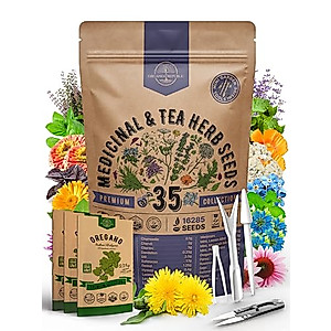 35 Medicinal & Tea Herb Seeds Variety Pack for Indoor & Outdoors. 16,300+ Non-GMO Heirloom Garden Seeds: Anise, Bergamot, Borage, Cilantro, Chamomile, Dandelion, Rosemary Seeds & More