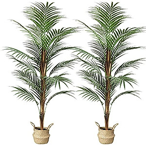 Chantoo Artificial Areca Palm Tree 5FT Fake Tropical Palm Plant with Realistic Artificial Leaves in Pot Faux Plant for Indoor Outdoor Home Patio Office Modern Decor 2Pack