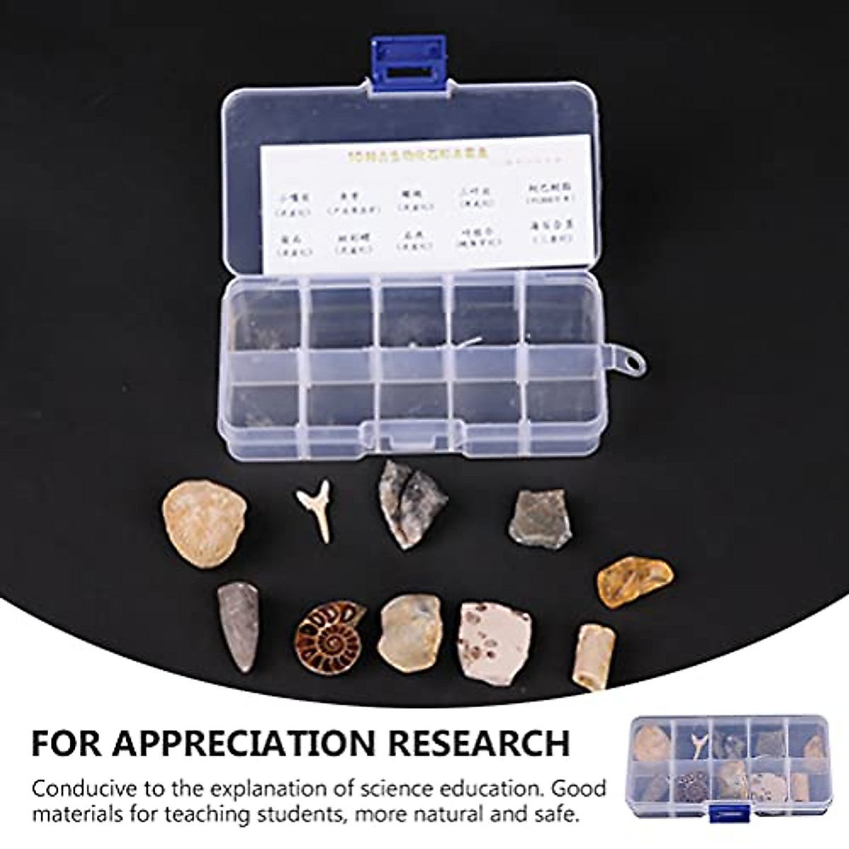 Hemobllo Fossil Specimens Collection Set, 10PCS Paleontology Fossil Specimens, Trilobite Amber Fossil Educational Science Kits, Creative Science Decoration Stone