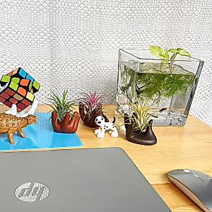 HHHH 3 pcs Air Plant Holder Mini Hand Shape Stand AirPlants Tillandsia Cute Container Pot Plant Display Home Office Decor Desk Table Shelf or Gifts Party Favors, Clay