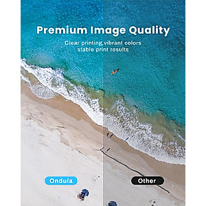 822XL Ink Cartridges Remanufactured Replacement for Epson 822XL Ink Cartridges 822 T822 T822XL for Workforce Pro WF-3820 WF-4820 WF-4830 WF-4833 WF-4834 Printer (4-Pack, Black Cyan Magenta Yellow)