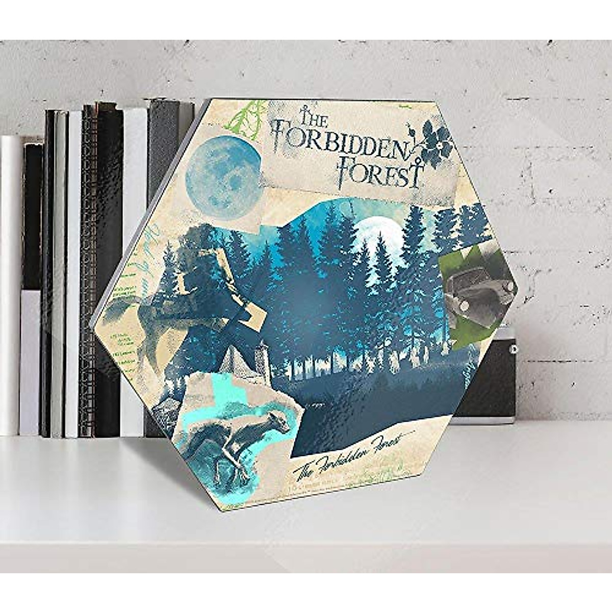 Harry Potter – Forbidden Forest – Watercolor Collage - 11.5” X 10” Hexagon Shaped KNEXAGON Wood Print – Hang Alone or Connect to Other Pieces – Officially Licensed Merchandise
