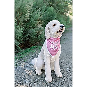 Everything Tailed Big Sister Dog Bandana for Pregnancy Announcement, Handkerchief and/or Scarf Accessory for Dog, Warm Pink Color, Fits Medium to Large Dogs, Gender Reveal Prop for Expecting Mothers