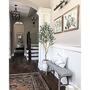 Phimos Artificial Olive Tree Tall Fake Potted Olive Silk Tree with Planter Large Faux Olive Branches and Fruits Artificial Tree for Modern Home Office Living Room Floor Decor Indoor (5.24FT)