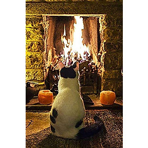 Hongso Fireplace Stove Blower Fan Variable Rheostat Speed On/Off Switch Ctrl with 2 Male Connectors, Fireplace Fan Speed Control