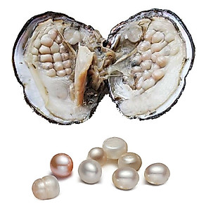 Oyster with Pearl Inside, Freshwater Cultured Oval Pearl Beads (5-7mm about 18pcs Pearls) Gifts