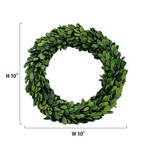 Preserved Garden Boxwood Round Wreath 10" By COCOMIA