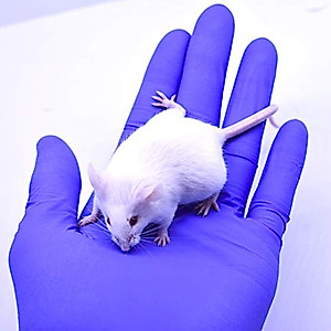 MiceDirect Frozen Small Adult Feeder Mice Food for Juvenile Ball Pythons, Adult Corn Snakes (40 Count)