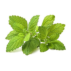 Click and Grow Smart Garden Lemon Balm Plant Pods, 3-Pack