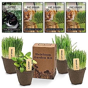 Sow Right Seeds - Heirloom Garden Kit for Cat Lovers - 4 Seed Packets with Instructions, Pots, Potting Soil, and Plant Markers - Start and Grow Catnip and Cat Grass Indoors - Non GMO - Wonderful Gift