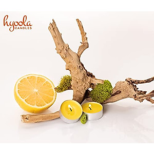 Tealight Citronella Candles - Anti Mosquito Candle - 4 Hour Burn - 50 Pack - DEET Free