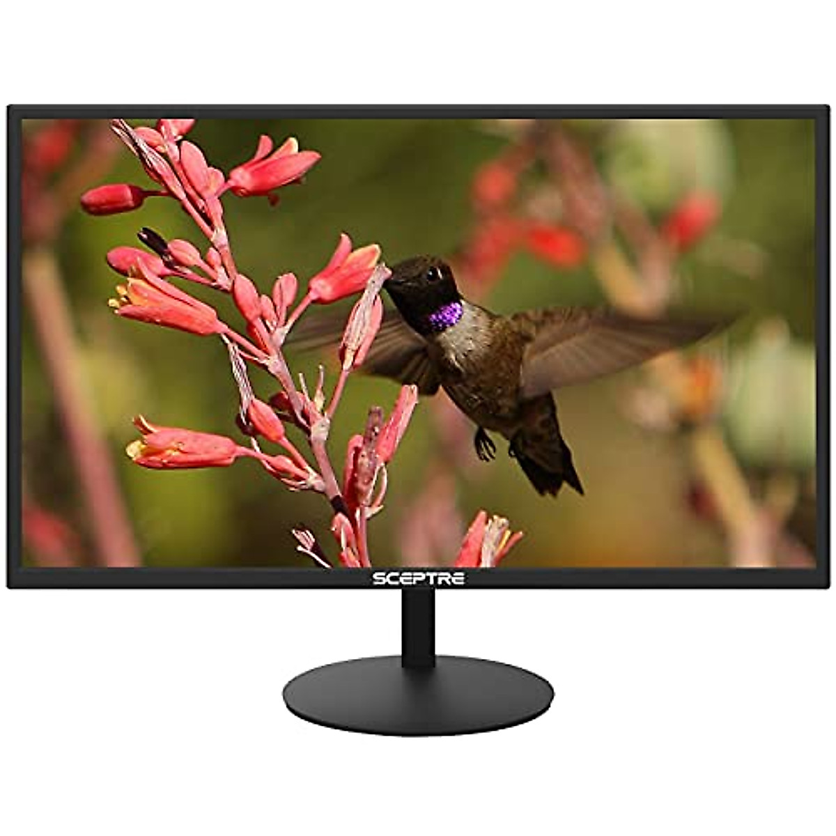 Sceptre E275W-19203R 27 inch1080P LED Monitor 99% sRGB 2X HDMI VGA Build-In Speakers, Machine Black (E275W-19203R series)