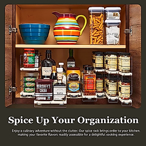Vertical Spice Combo Spice Rack Drawer - Pull Out Pantry Organizers and Storage - Kitchen Cabinet Organizer - Seasoning Sliding Caddy - Made in USA (5.75" W x 9.25" H x 10.60" D, Partially Assembled)