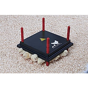 RentACoop Chick Brooder Heating Plate - Brooder Heat Plate Warms Up to 20 Chicks - Chick Heater with 25 Adjustable Heights and 22 Watts - Safer Alternative to Heat Lamps - 12" x 12"
