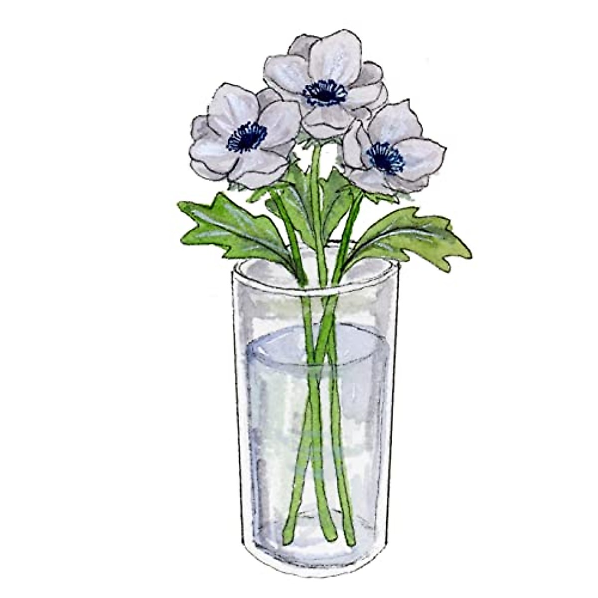 Watercolour Lessons: How to Paint and Unwind in 20 Tutorials (How to paint with watercolours for beginners)