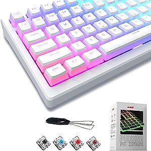 LexonElec Pudding Keycaps,Double Shot PBT Keycap Set with Translucent Layer for DIY RGB LED Backlit Gaming Mechanical Keyboards,Full 108 Key Set,OEM Profile,US Layout(White)