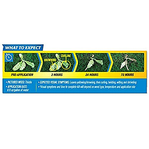 Spectracide Weed Stop For Lawns Concentrate2