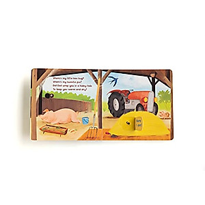 Where's My Little Love Bug?: A Mirror Book