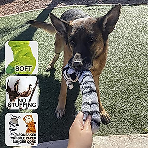 JALOUSIE 5 Pack Dog Bungee Stretch Toy Squeaky Dog Crinkle Chew Toy - Stuffingless Crinkle Paper Body No Mess - Sealed Stuffed Squeaky Head - Interactive Play Dog Crinkle Paper Sound Toy Value Bundle