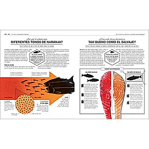 Cocinología (The Science of Cooking): La ciencia de cocinar (Spanish Edition)
