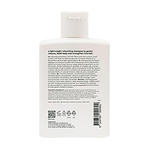 EVO Gluttony Volumising Shampoo - Volumizing Shampoo For All Types Of Hair - Adds Lift, Body Shine, Strength & Elasticity - 300ml / 10.1fl.oz