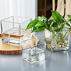 4PCS Square Glass Vase 4"x4" Clear Cube Flower Vase for Wedding Centerpiece Candle Holder Home