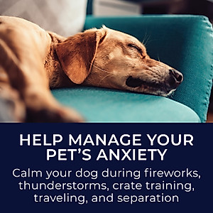 Yogasleep Pawzz White Noise Machine for Dogs, Home & All Pets. with Integrated Bark Sensor, 6 Automatic Relaxing Natural Sounds, Help Keep Pets Calm, Anti-Barking with Training, Noise Canceling