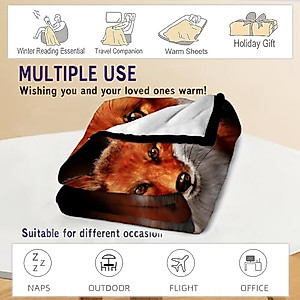 Fox Blanket Decor Soft Plush Sherpa Warm Animal Flowers Fleece Blankets Living Room Breathable Lightweight Throw for Kids Girls Boys Adult (100x130cm(40"x50"))