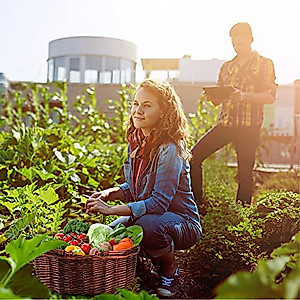 Dicunoy Wicker Picnic Basket with Handle, Large Empty Gift Basket to Fill, Open Top Market Harvest Baskets for Garden, Fruit, Candy, Wine, Egg Gathering, Wedding, Vegetables