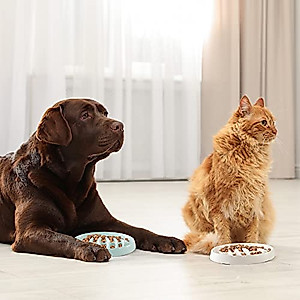 2 Pack Cat Slow Feeder Bowl Slow Feed Cat Dish Fishbone Cat Slow Feeder Small Interactive Puzzle Dog Feeder Dish Anti Gulping Pet Bowl for Cat and Dog Slow Eating to Against Bloat (White, Green)