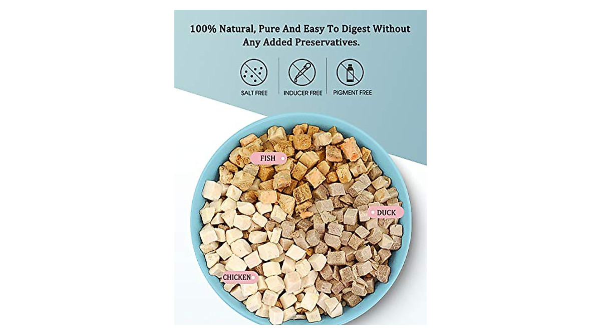 BNYEE 3 in 1 Turtle Treats - Natural Freeze Dried Food