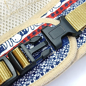 Muttitude Dog Harness & Leash Set for Small Breeds (Extra Large, Goa)