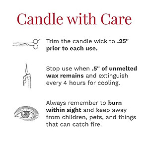 Candle-lite Scented, Apple Cinnamon Crisp Fragrance, One 18 oz. Single-Wick Aromatherapy Candle with 110 Hours of Burn Time, Red Color