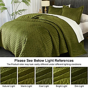 Ivellow Velvet Quilt Queen Size Green Lightweight Velvet Comforter Set Oversized Bedspread Coverlet Full for All Season 3Pcs Luxury Quilted Bedding