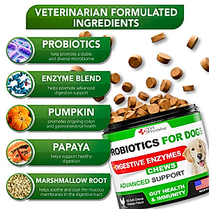 Probiotics for Dogs - Dog Probiotics and Digestive Enzymes for Gut Health, Itchy Skin, Allergies, Immunity, Yeast Balance - Prebiotics - Reduce Diarrhea, Gas - 120 Probiotic Chews Supplement for Dogs