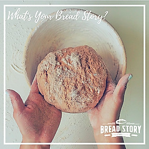 (10 inch) Round Banneton Proofing Basket Set - Brotform Handmade Unbleached Natural Cane For homemade Crusty Fresh, Easy to Bake Bread With Professional Marks Rising dough Bread Kit with washableCloth