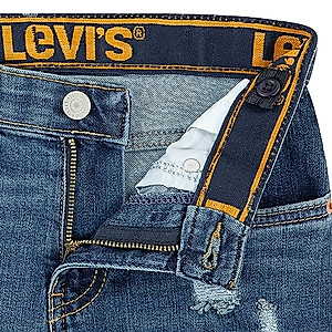 Levi's Boys' 510 Skinny Fit Destructed Jeans, Paper Shredder, 12