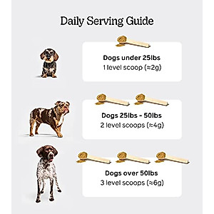 FRONT OF THE PACK The One Dog Food Supplement Powder - Allergy and Itch Relief, Digestive Support, Brain Support & Joint Booster with Glucosamine Chondroitin for Dogs