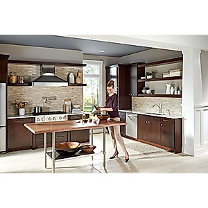 Moen Modern Spot Resist Stainless Wall Mount Swing Arm Folding Pot Filler, Double Jointed Kitchen Faucet, S665SRS