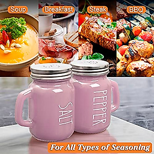 Pink Salt and Pepper Shakers Set, Bivvclaz 4 oz Glass Pink Salt Pepper Shaker Set with Stainless Steel Lid, Pink Kitchen Decor and Accessories for Home Restaurants Wedding