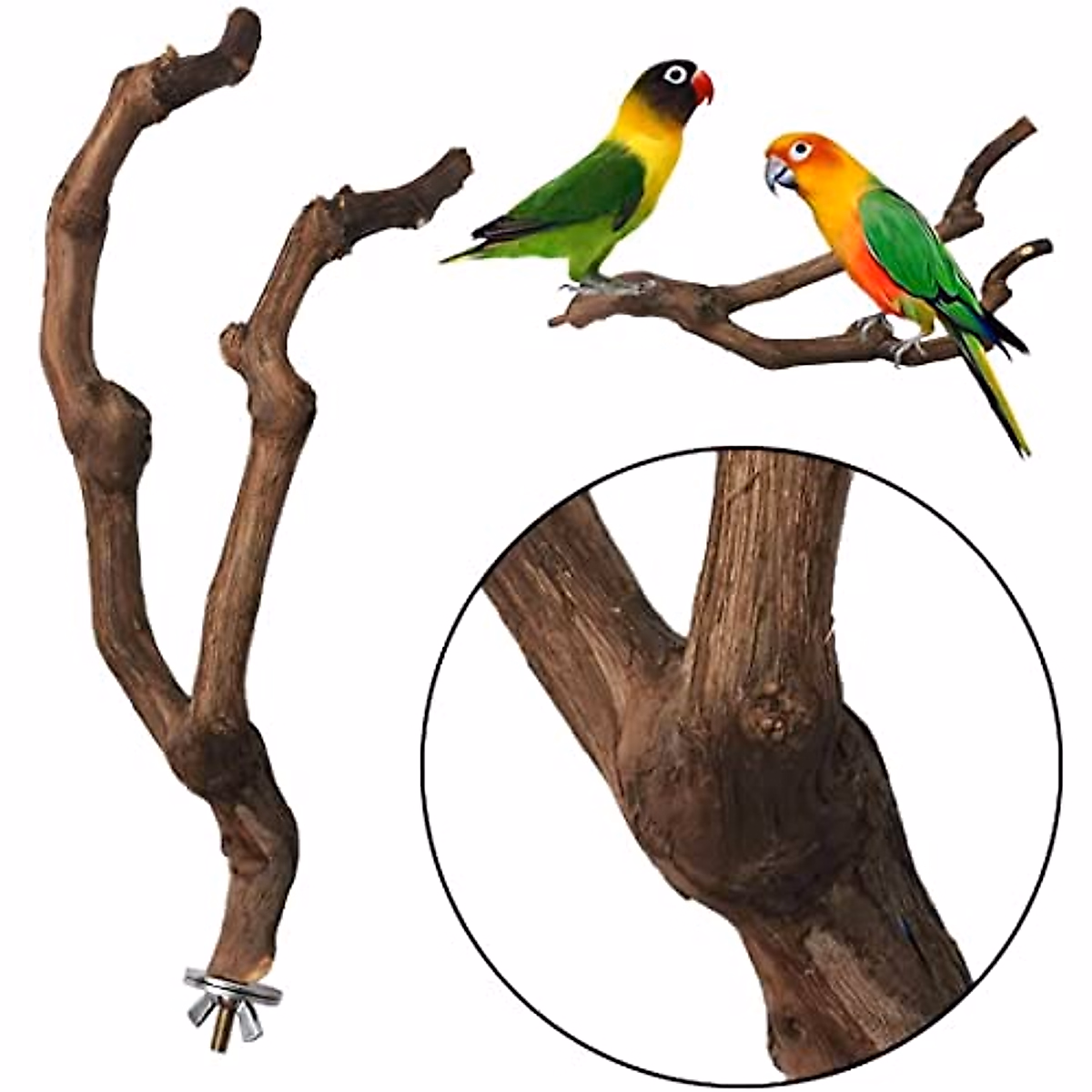 kathson Natural Parrot Perch Bird Stand Pole Wild Grape Stick Paw Grinding Fork Parakeet Climbing Standing Branches Toy Chewable Cage Accessories for Small Budgies Cockatiels Lovebirds 4PCS