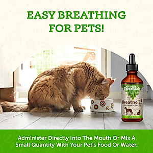 Animal Essentials Breathe EZ for Dogs & Cats - Pet Respiratory Support Supplement, Clear & Easy Breathing, Healthy Respiration - 1 Fl Oz