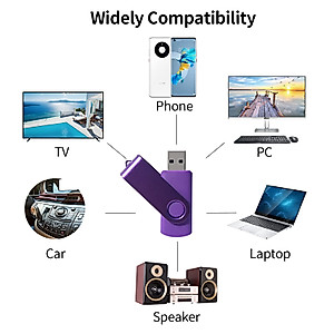 ERKE 2GB USB 2.0 Flash Drive 5 Pack Portable Thumb Drives Swivel Jump Drive Zip Drive Memory Sticks with Type-C/Micro USB Adapter for PC/Laptop(Purple 2GB)